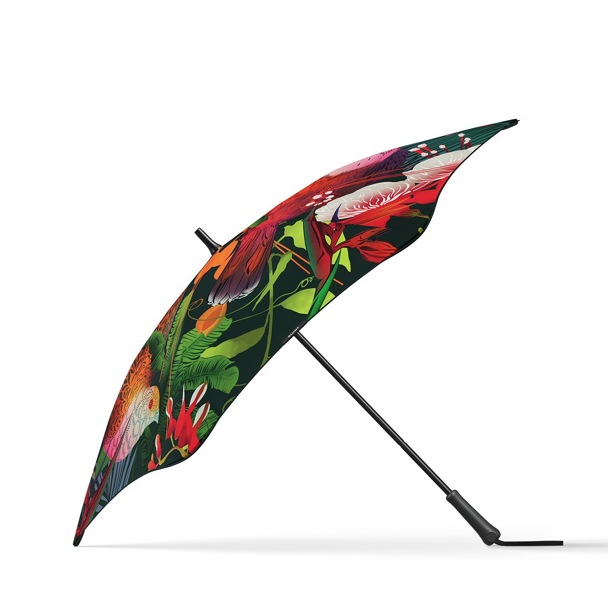 Designer Sunglasses, Accessories, Beauty Products & Homeware, NZ ...